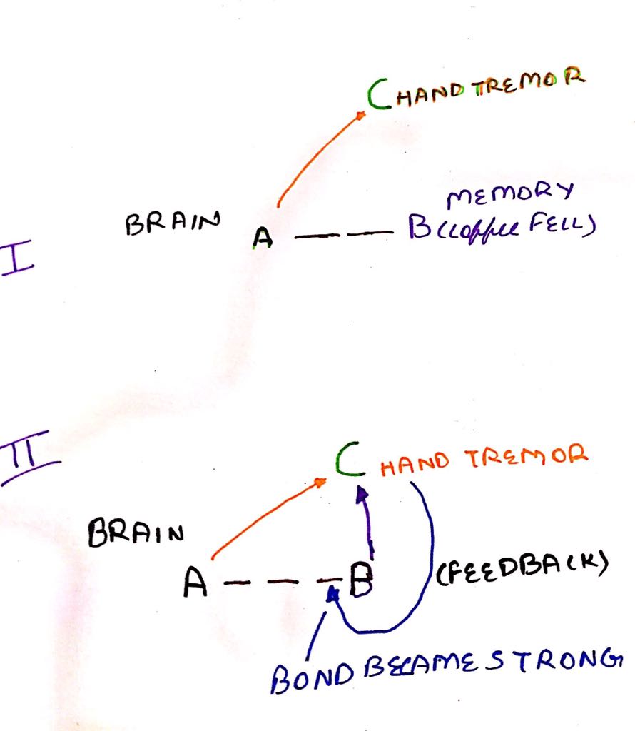 Fuzzy Brain – Exit Strategy